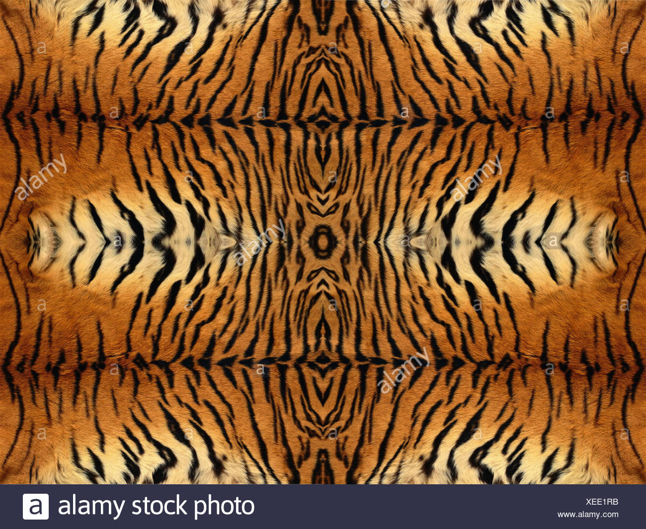 Tiger Fur Pattern High Resolution Stock Photography and Images - Alamy
