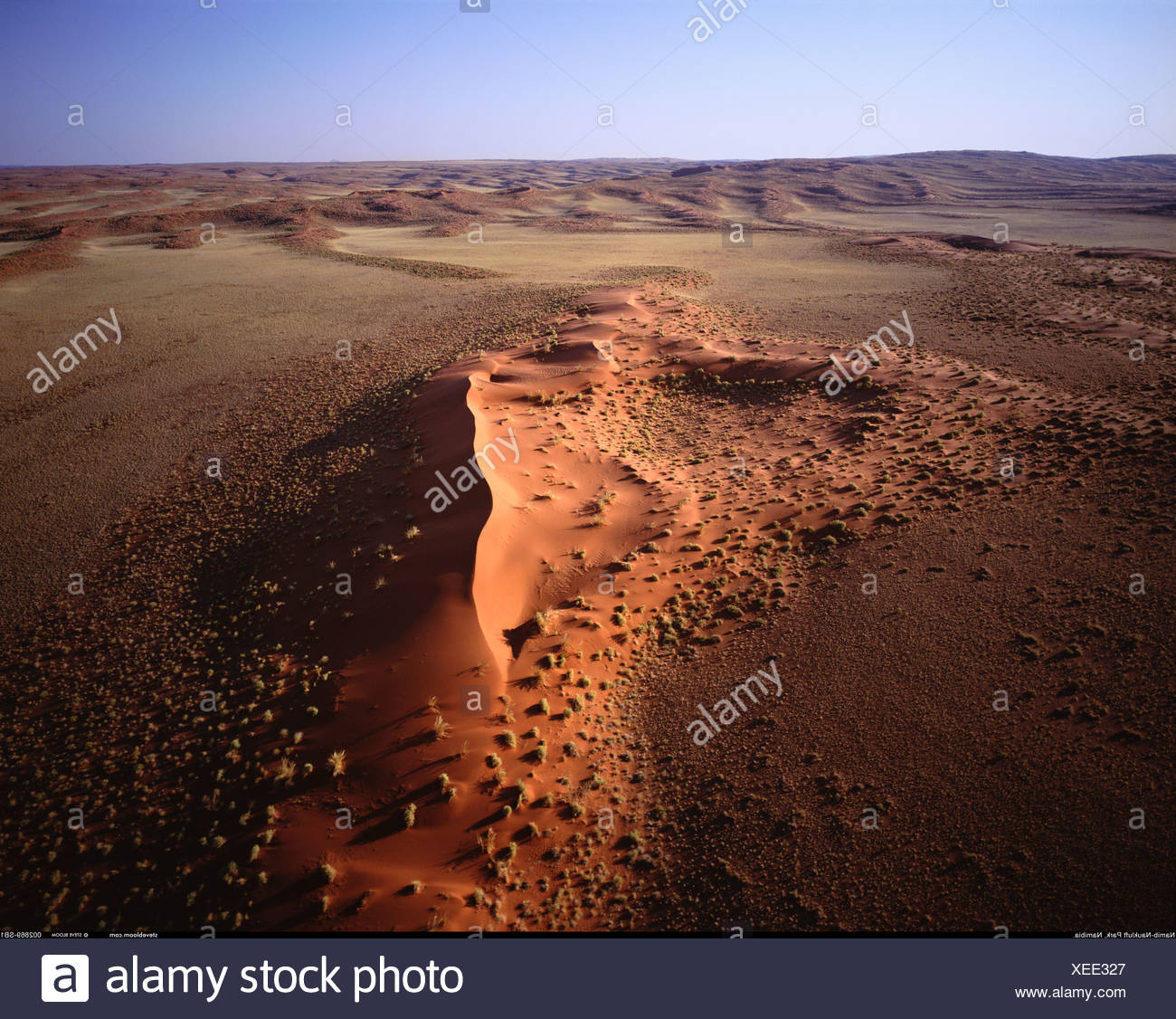 Nambia Desert High Resolution Stock Photography and Images - Alamy