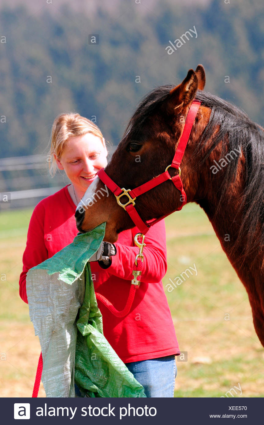 Balking High Resolution Stock Photography and Images - Alamy