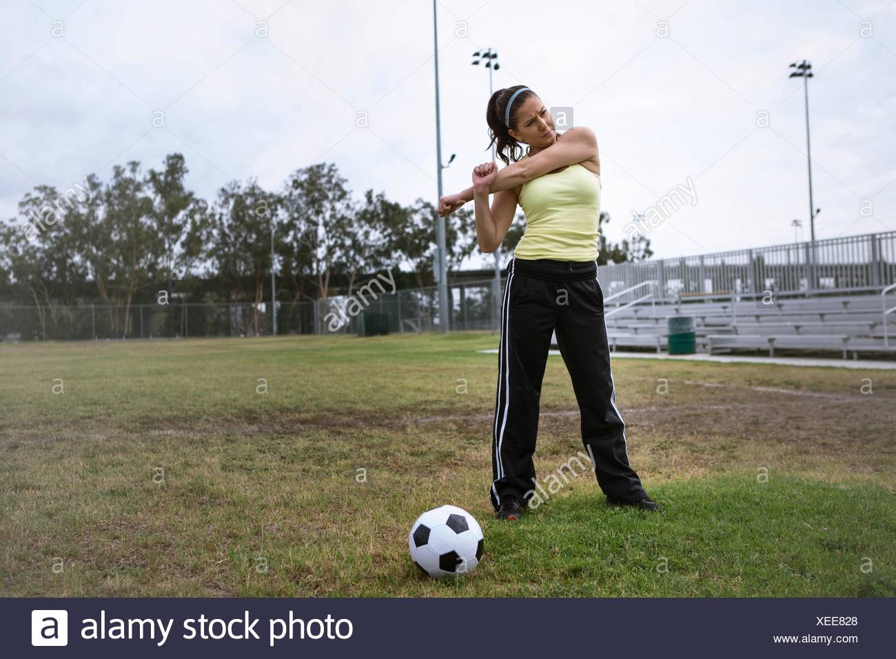 Soccer Stadium Field High Resolution Stock Photography and Images - Alamy