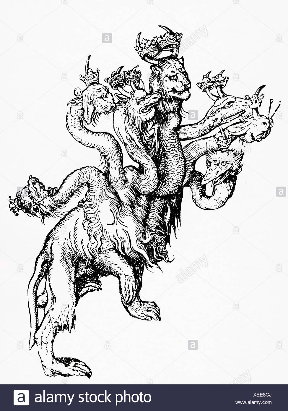 Seven Head Snake High Resolution Stock Photography and Images - Alamy