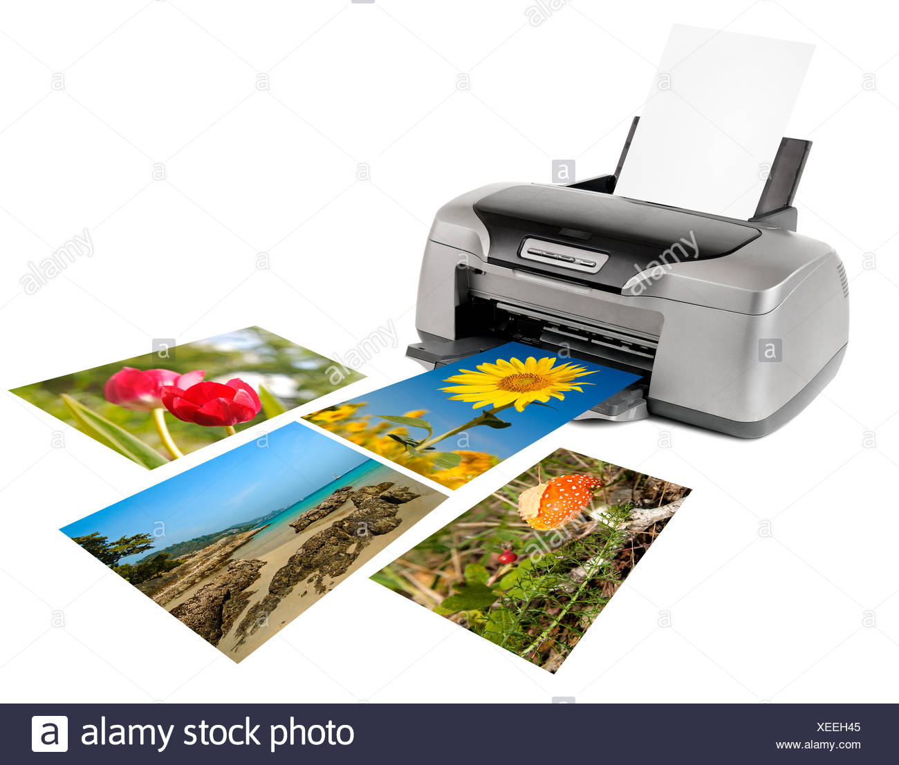 Inkjet Plotter Stock Photos & Inkjet Plotter Stock Images - Alamy
