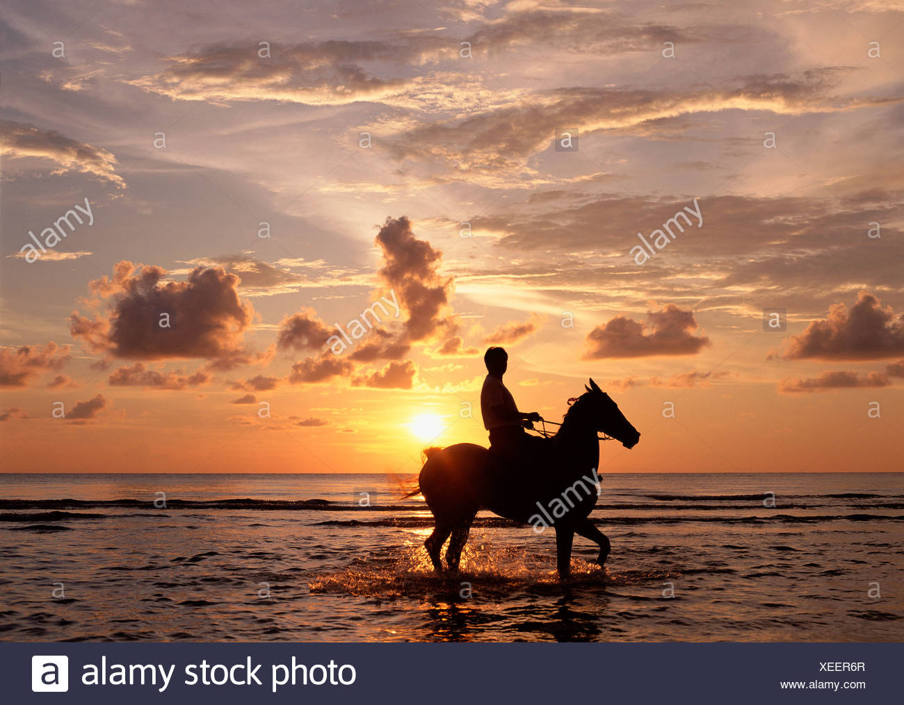 Woman Riding Horse At Sunset High Resolution Stock Photography and ...