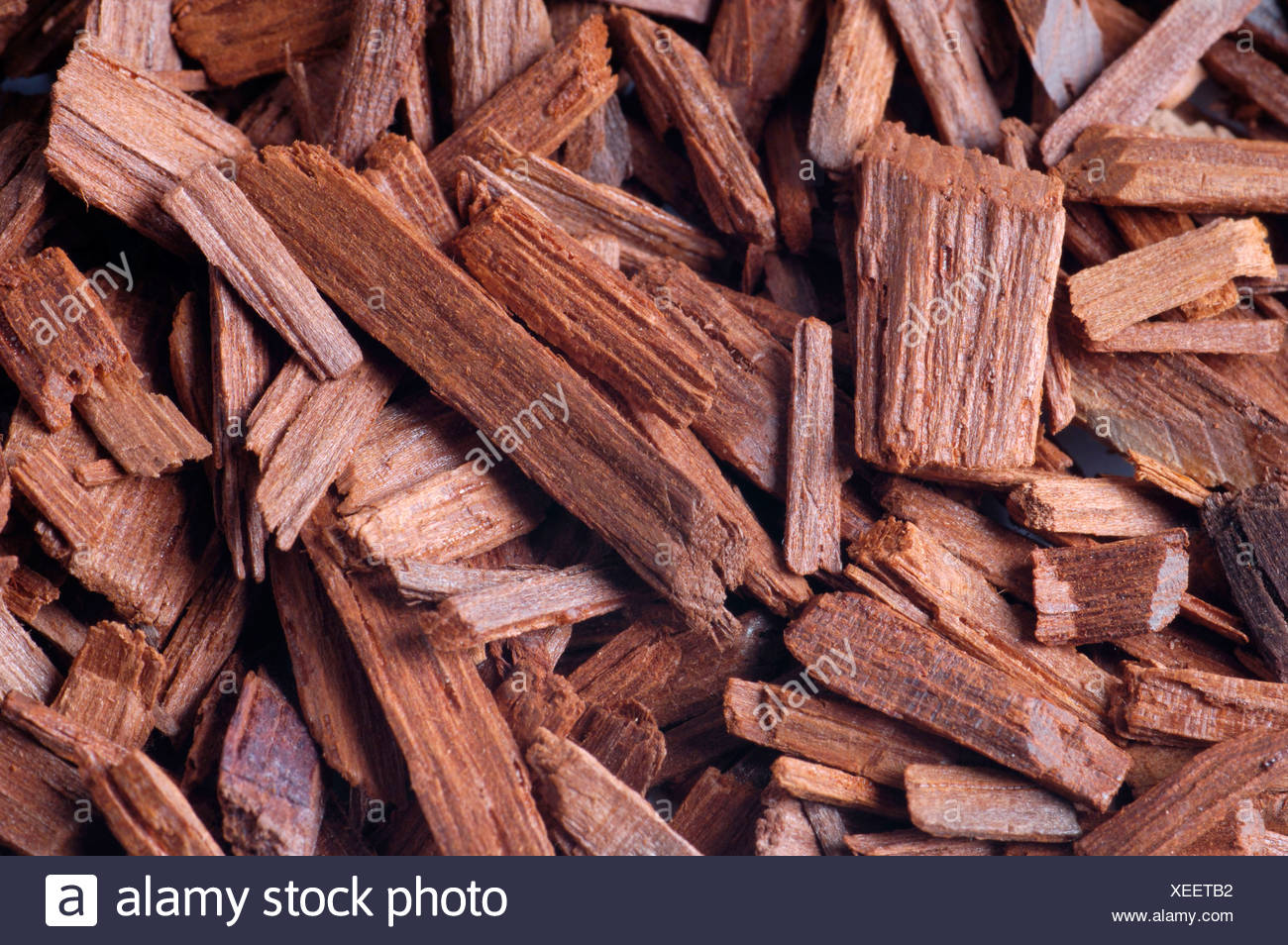 Pterocarpus Santalinus High Resolution Stock Photography and Images - Alamy