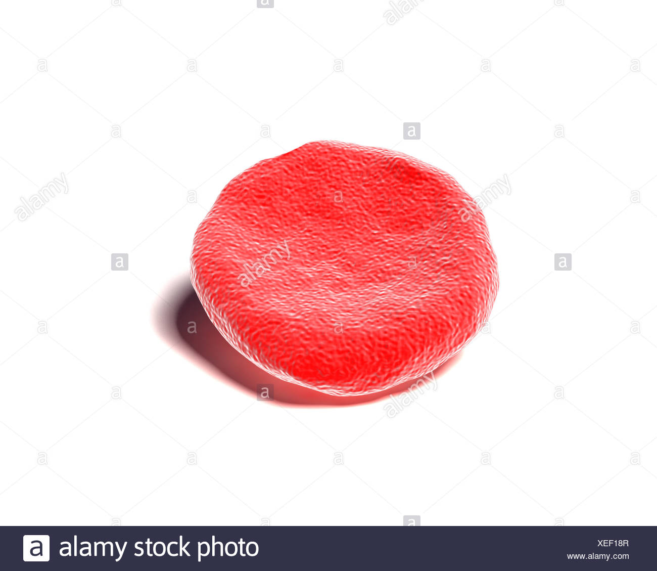 Bllod Cells Cut Out Stock Images & Pictures - Alamy