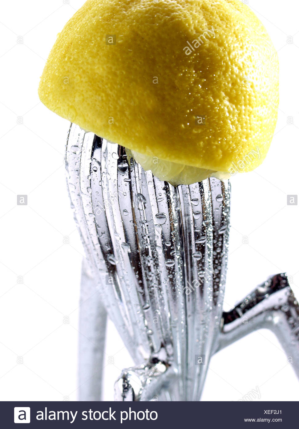 Lemon Being Squeezed High Resolution Stock Photography and Images - Alamy