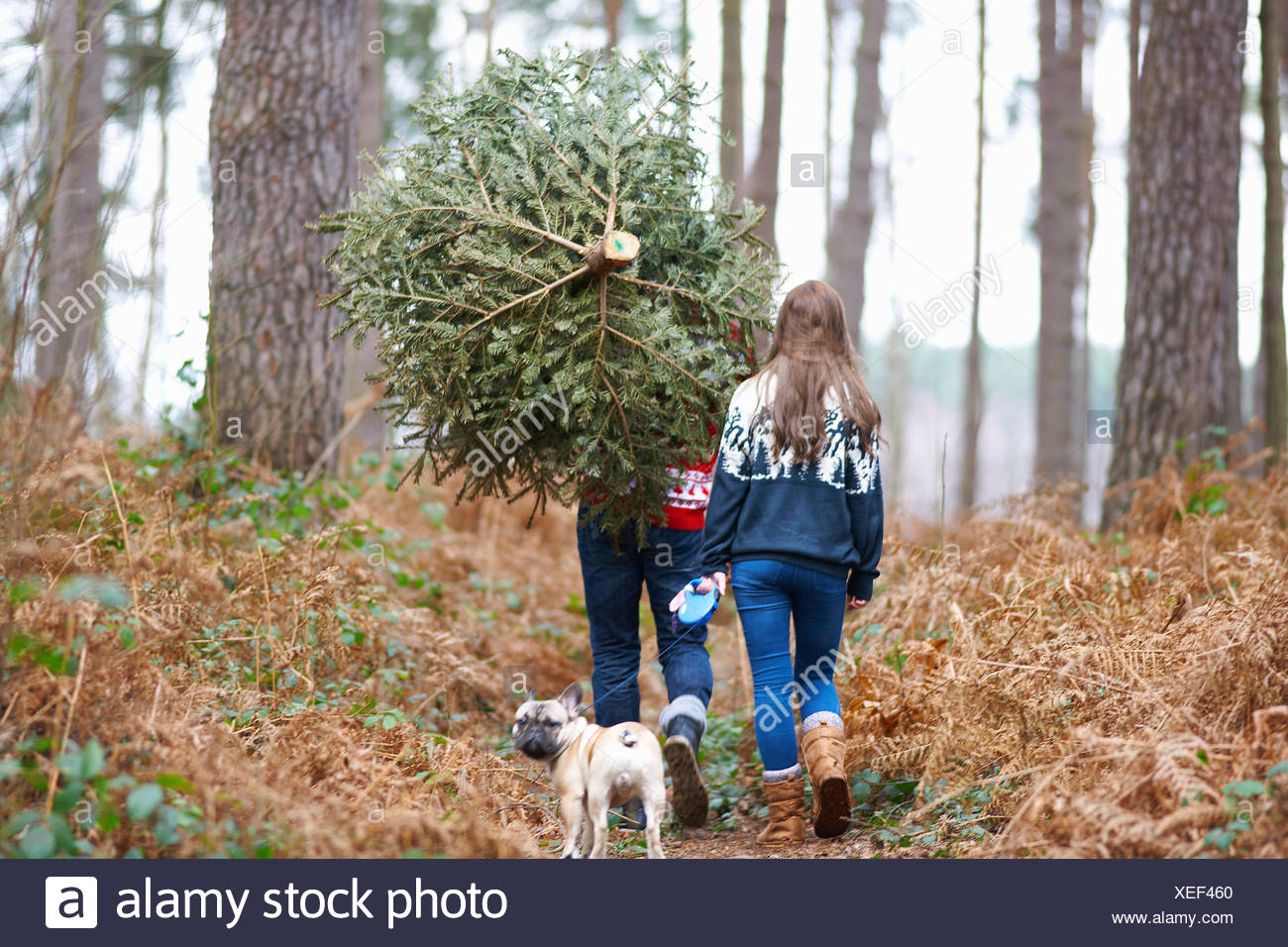 Man Carrying His Dog High Resolution Stock Photography and Images - Alamy