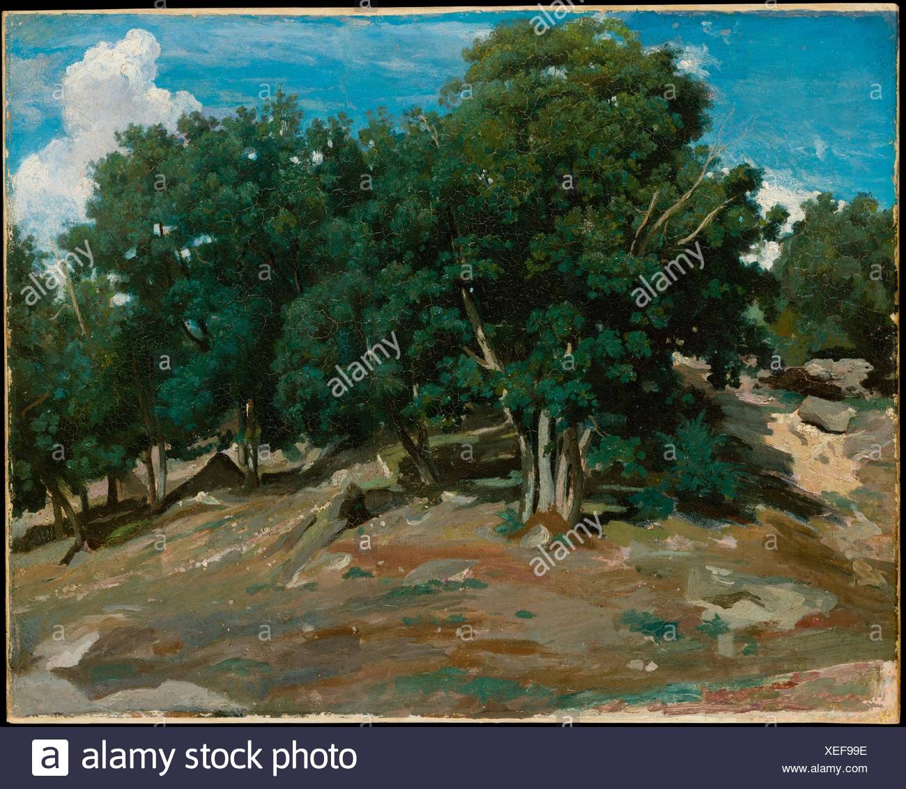 Camille Corot Forest Of Fontainebleau High Resolution Stock Photography ...