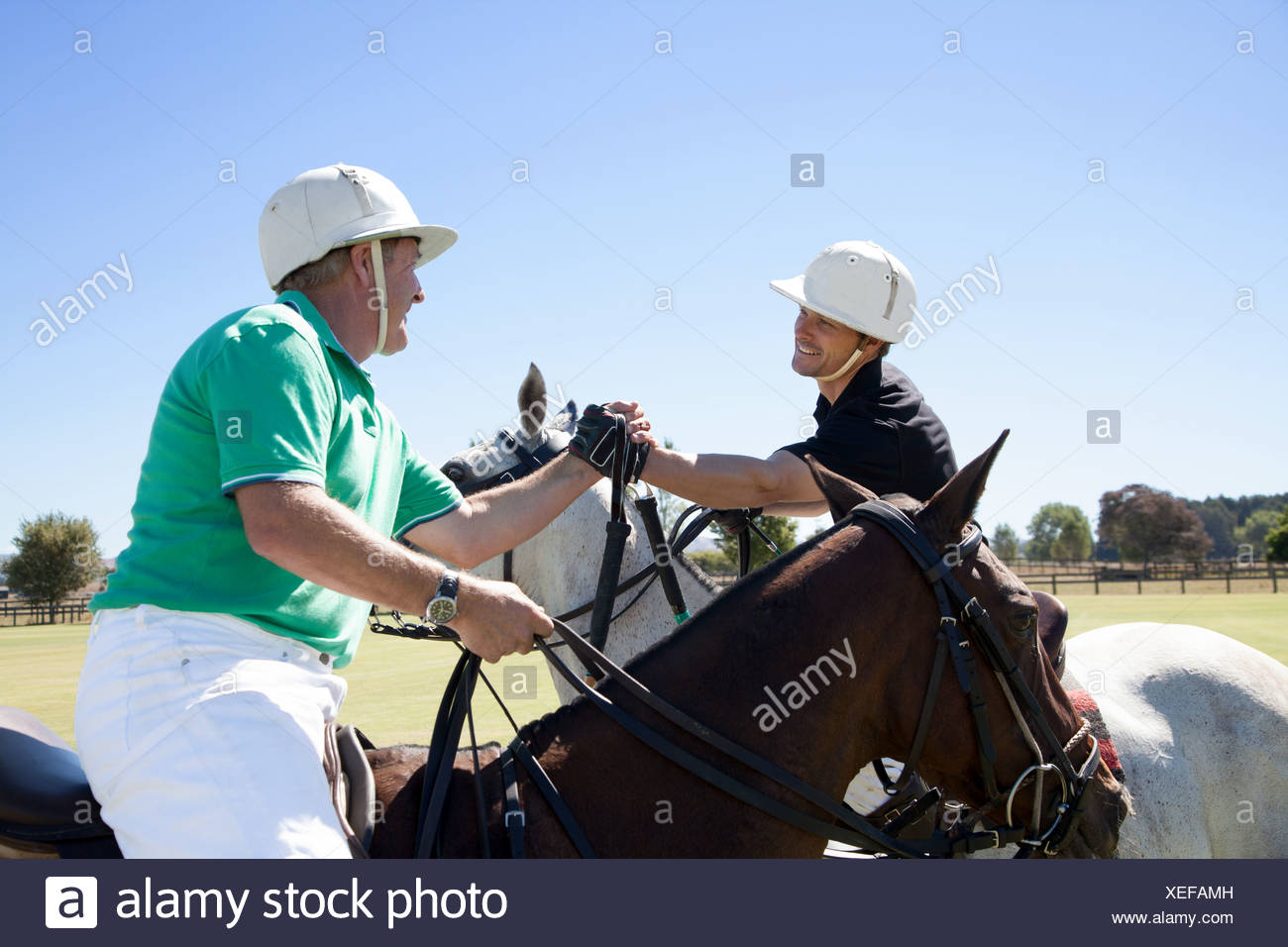 Team Sports Shaking Hands High Resolution Stock Photography and Images ...