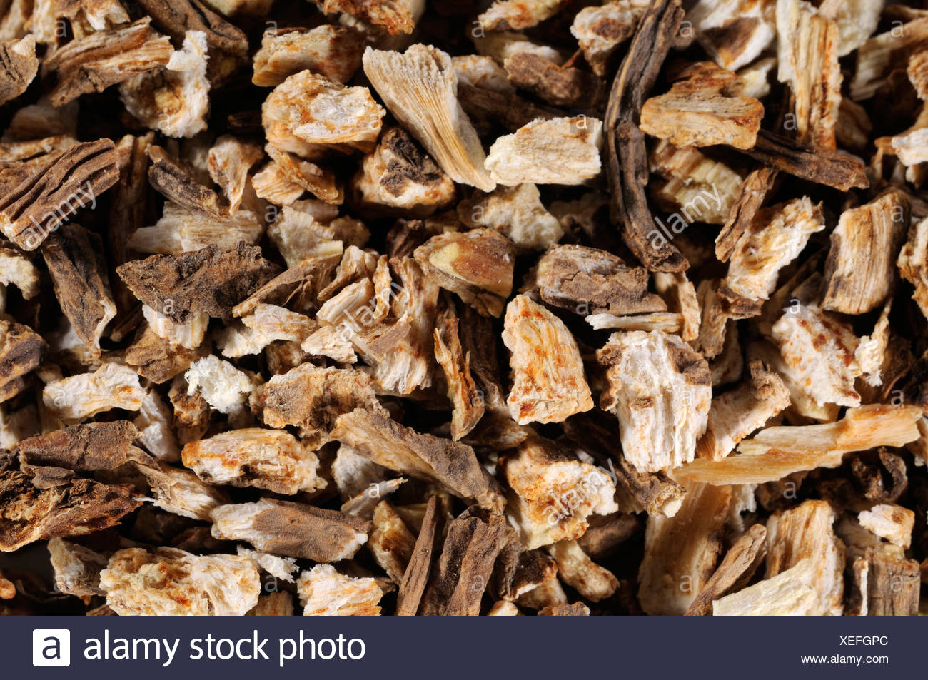 Lovage Root High Resolution Stock Photography and Images - Alamy