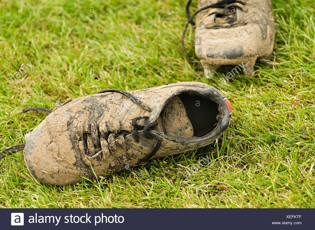 Muddy Kit Stock Photos & Muddy Kit Stock Images - Alamy