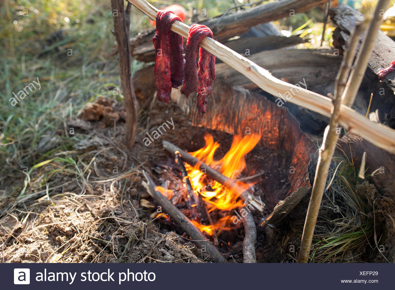 Caribou Meat Stock Photos & Caribou Meat Stock Images - Alamy