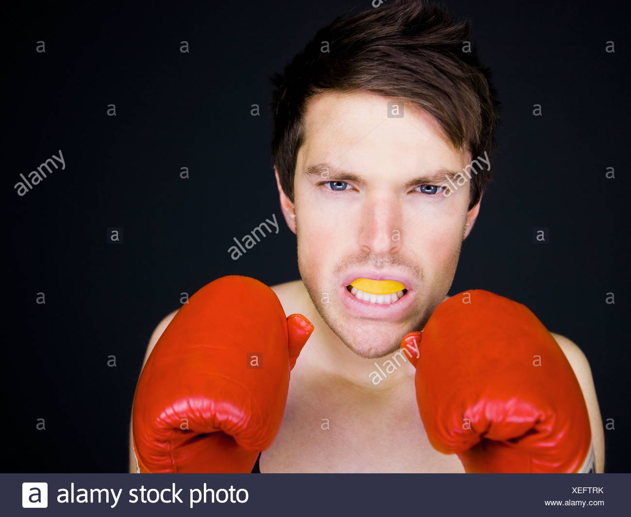 Red Boxer Stock Photos & Red Boxer Stock Images - Alamy