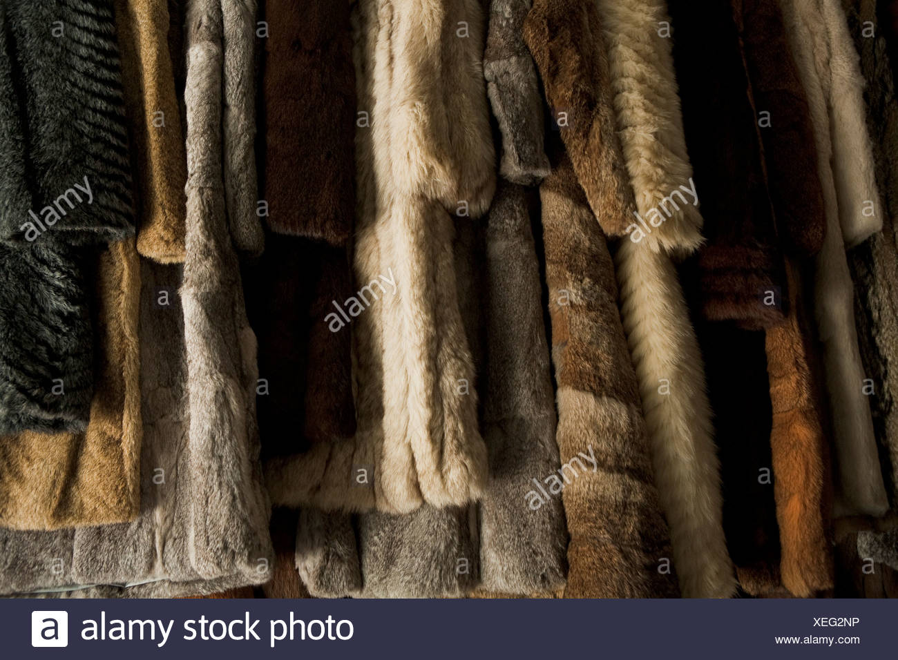 Fur Coats Stock Photos & Fur Coats Stock Images - Alamy