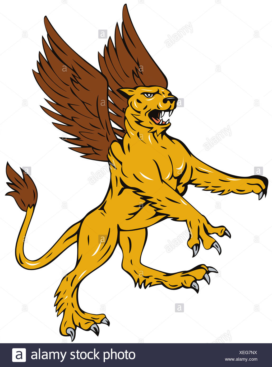 Griffin Illustration High Resolution Stock Photography and Images - Alamy