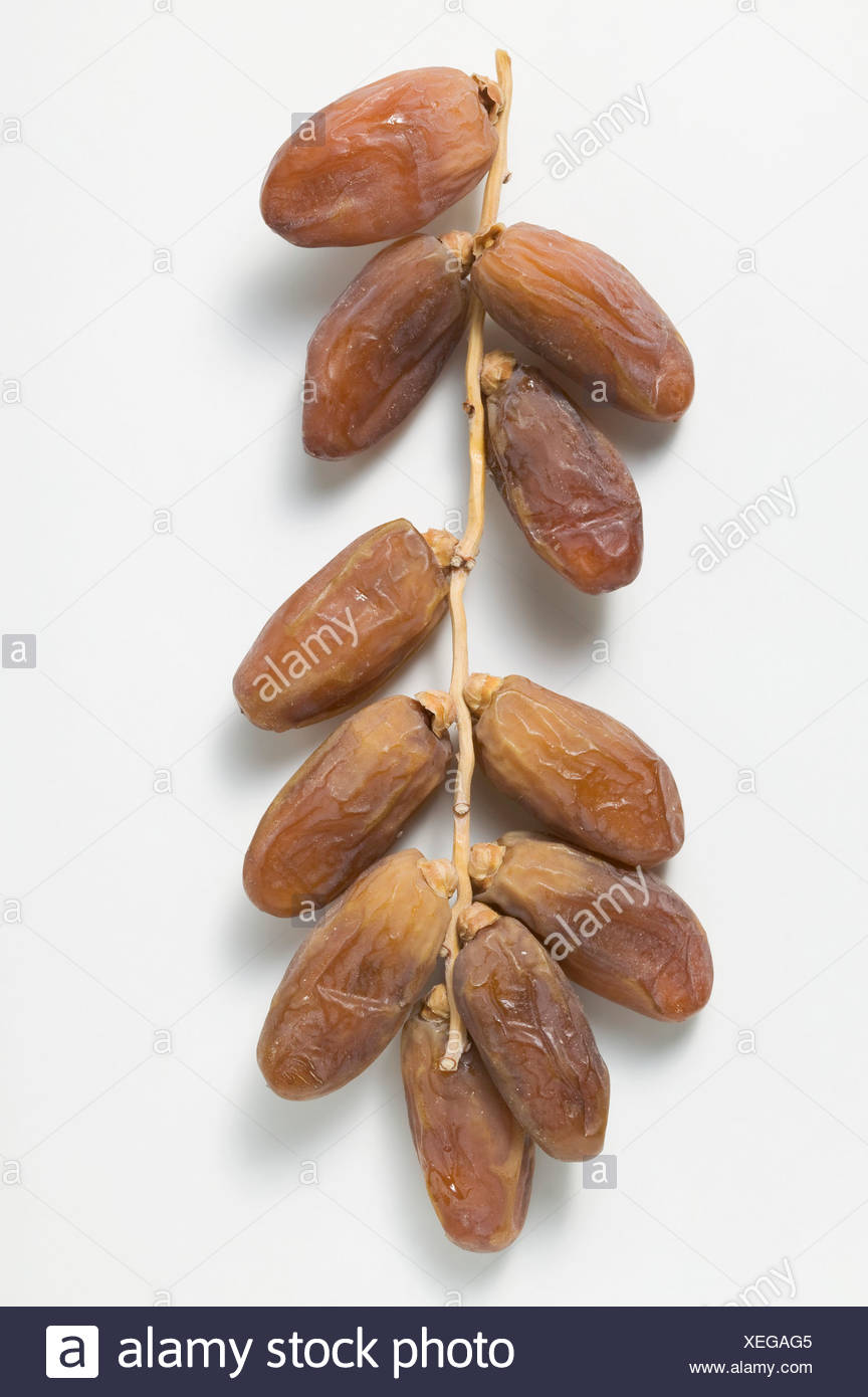 Fruits Dates Dried Fruit Dactylifera High Resolution Stock Photography ...