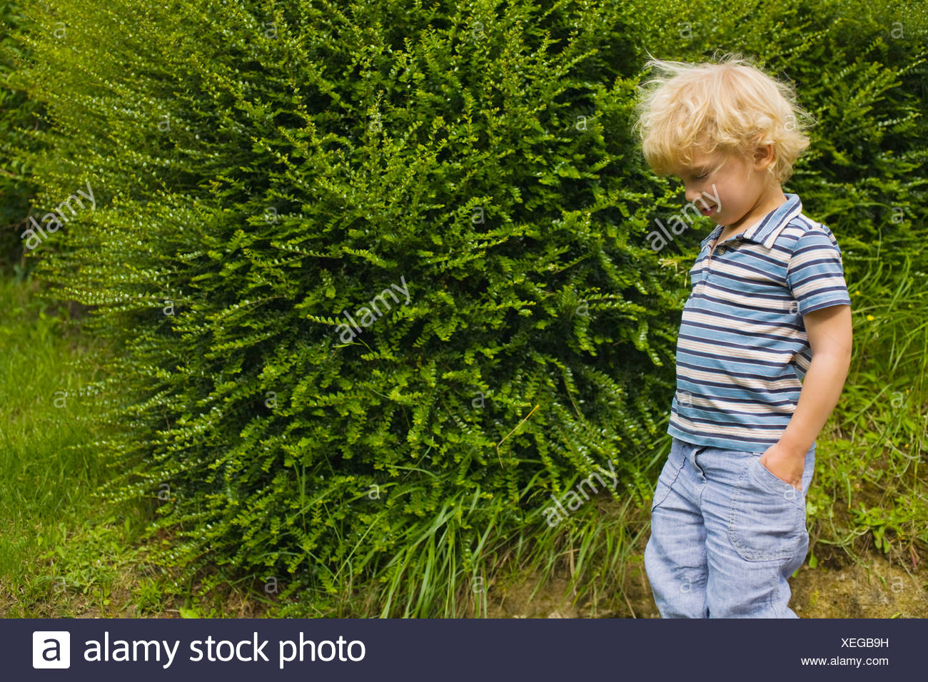Boys Walking Stock Photos & Boys Walking Stock Images - Alamy