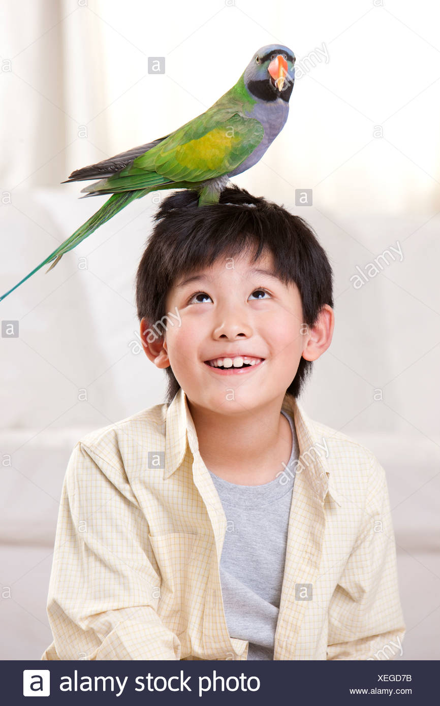 Boy With Parrot High Resolution Stock Photography and Images - Alamy