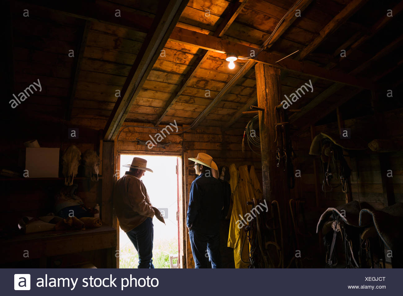 30 39 Years Stock Photos & 30 39 Years Stock Images - Alamy