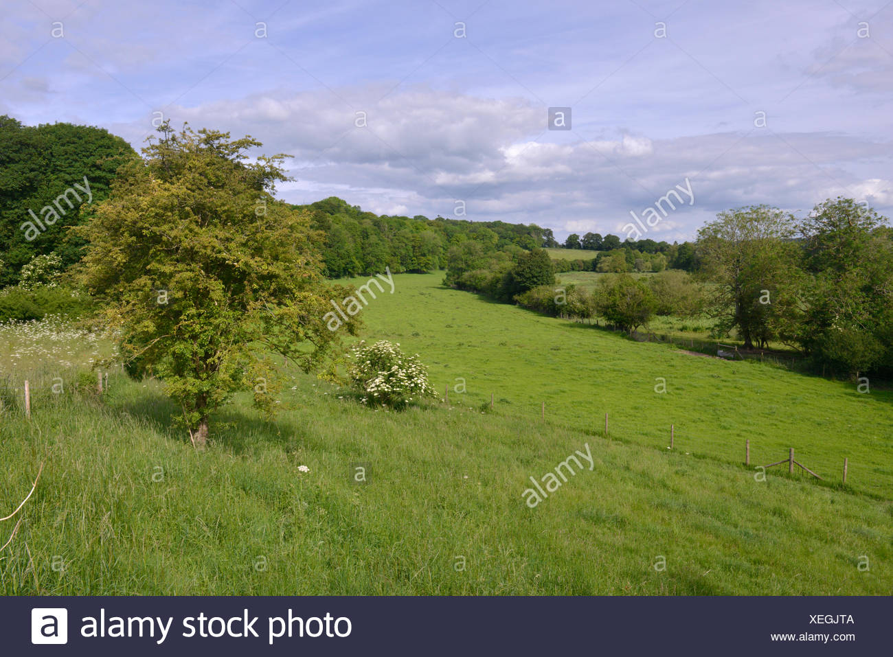 River Test Test Valley High Resolution Stock Photography and Images - Alamy