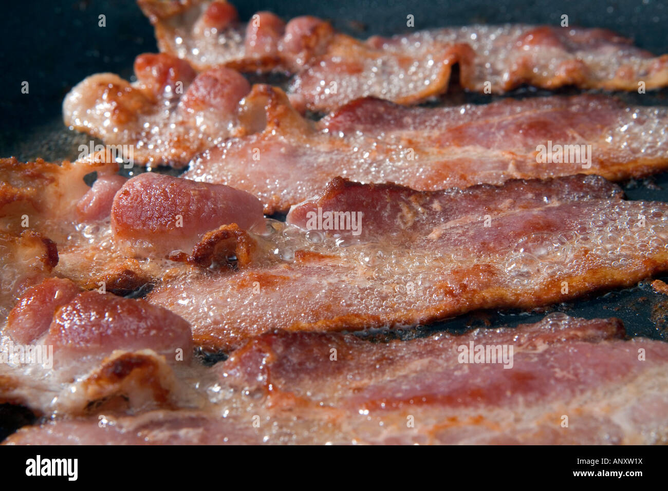 Bacon Close Up