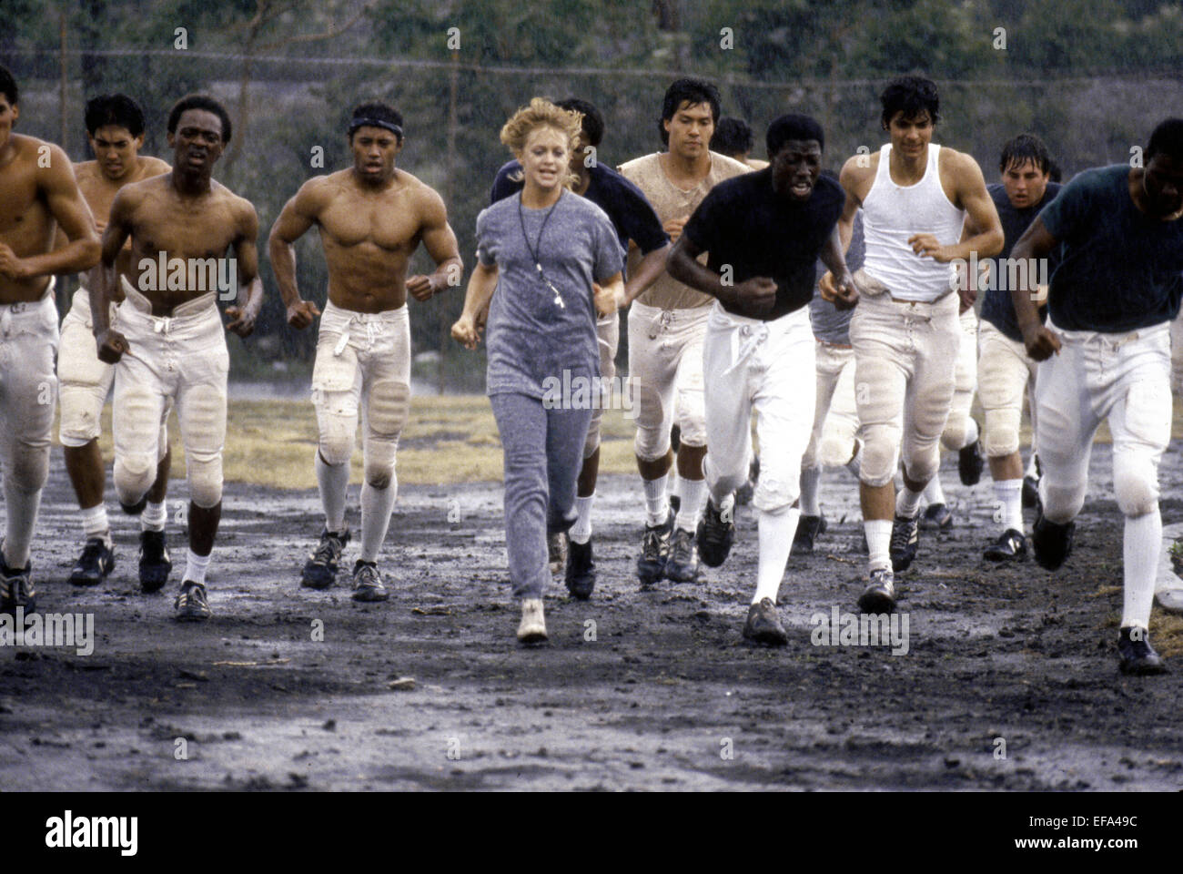 Wildcats Movie High Resolution Stock Photography and Images - Alamy