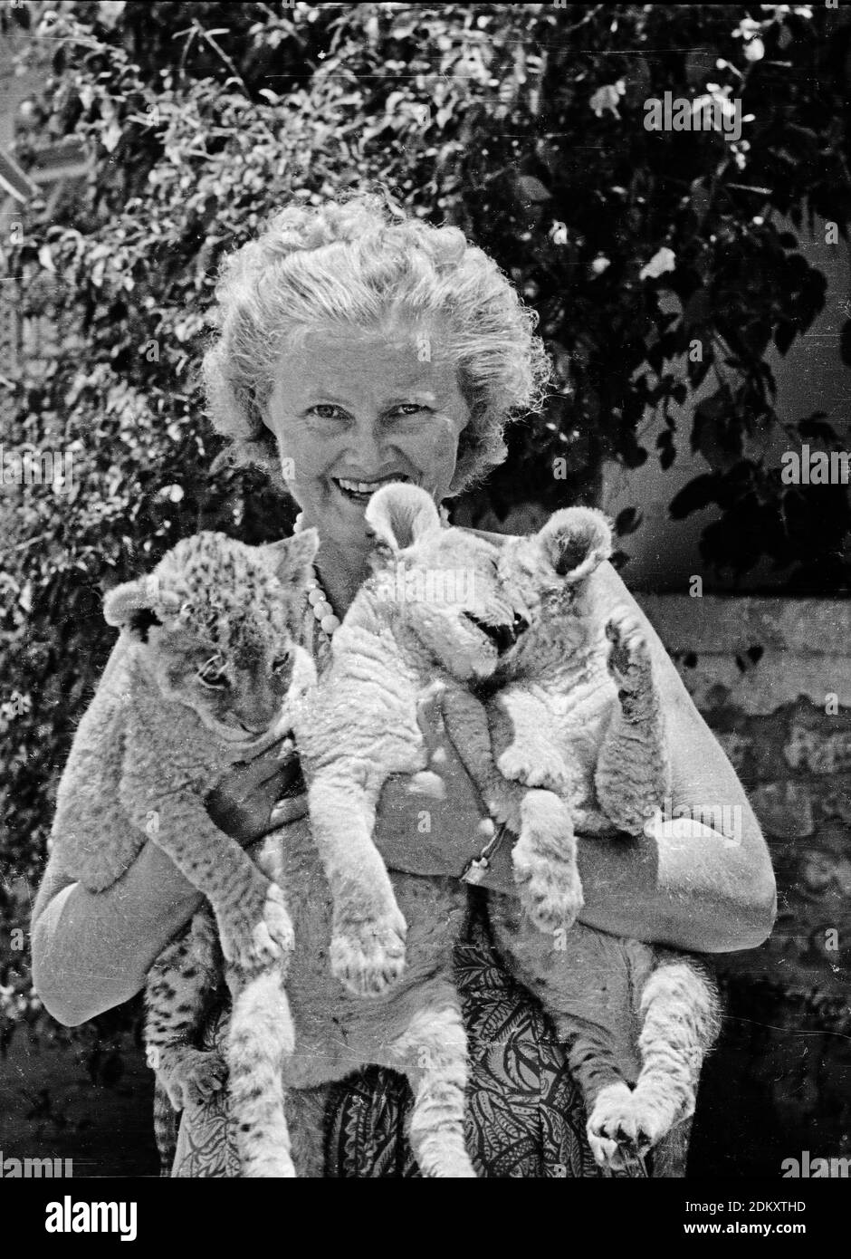Joy Adamson Stockfotos und -bilder Kaufen - Alamy