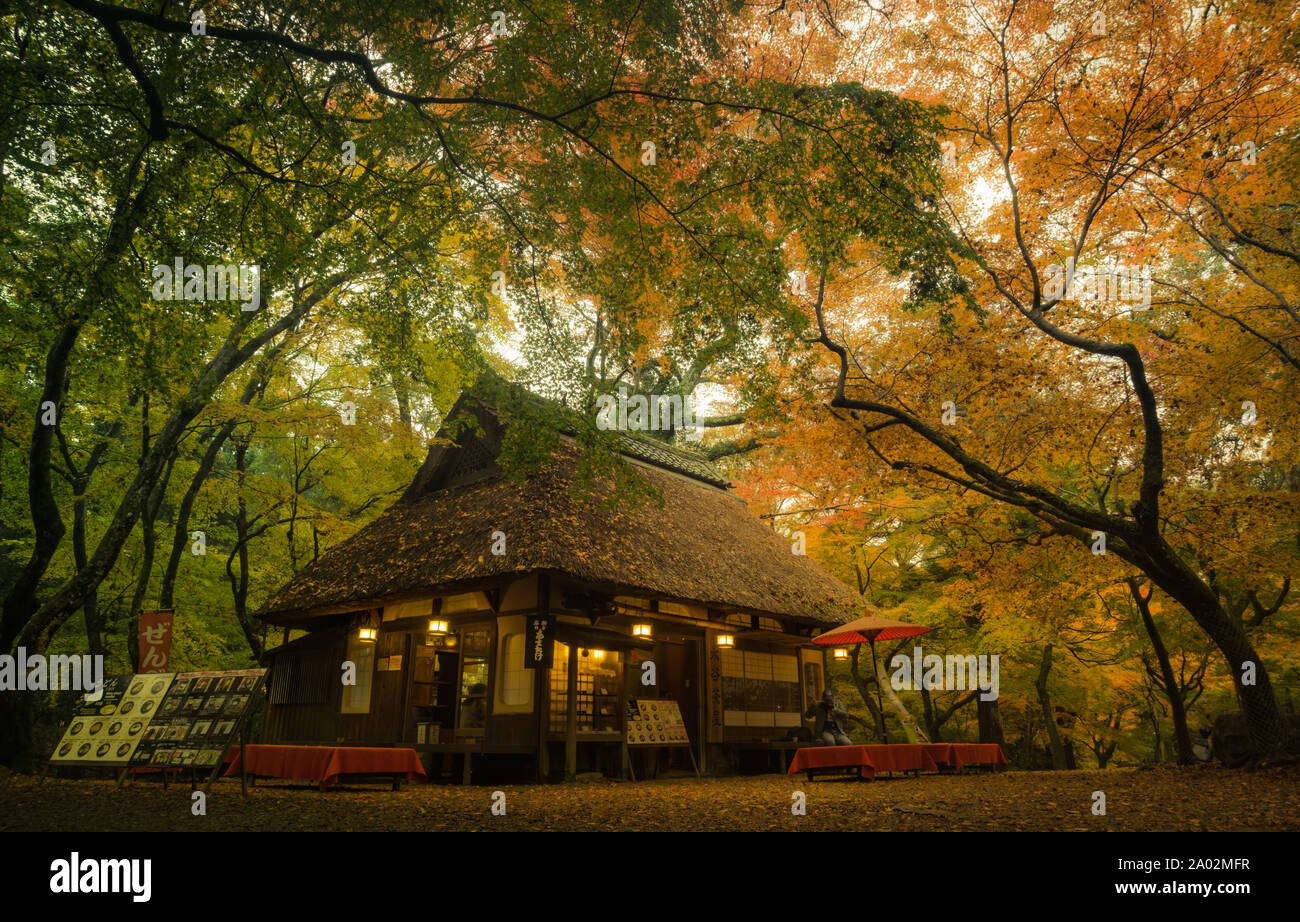Mizuya chaya -Fotos und -Bildmaterial in hoher Auflösung – Alamy