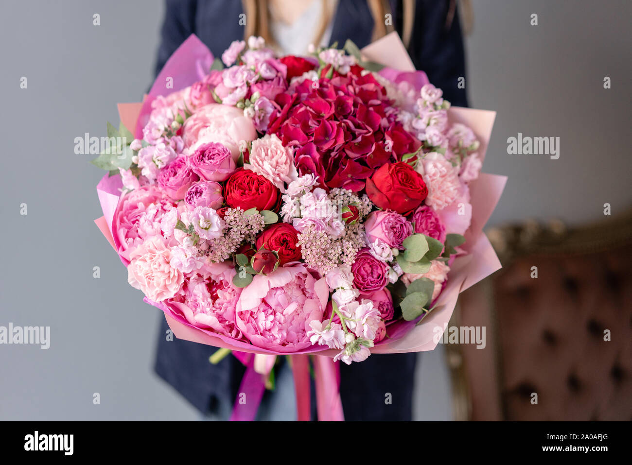 Rosa Hortensie Stockfotos und -bilder Kaufen - Alamy