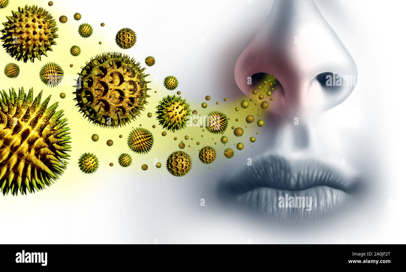 Pollen und menschliche gesundheit -Fotos und -Bildmaterial in hoher ...