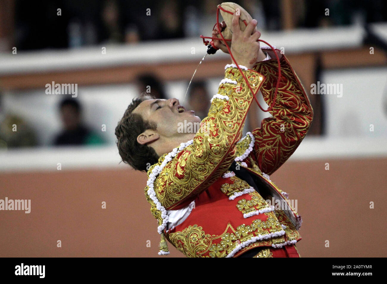 Viernes 20 enero, 2013. Alejandro Talavante y Octavio García 'El Payo ...