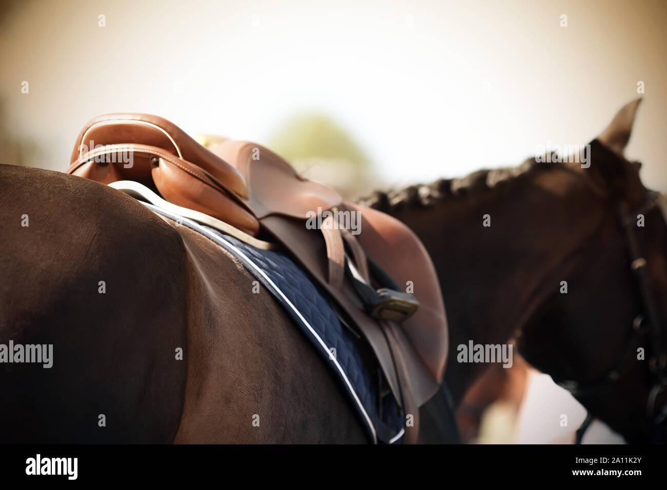 An einer Bucht mit Pferd, mit gekämmter Fell am Hinterteil, gekleidet ...