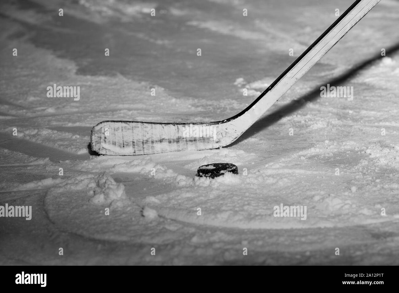 Puck score -Fotos und -Bildmaterial in hoher Auflösung – Alamy