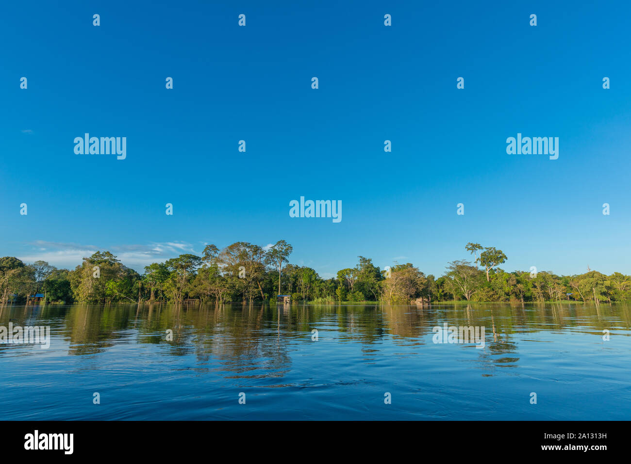 Regnerischer Regenwald Stockfotos und -bilder Kaufen - Alamy