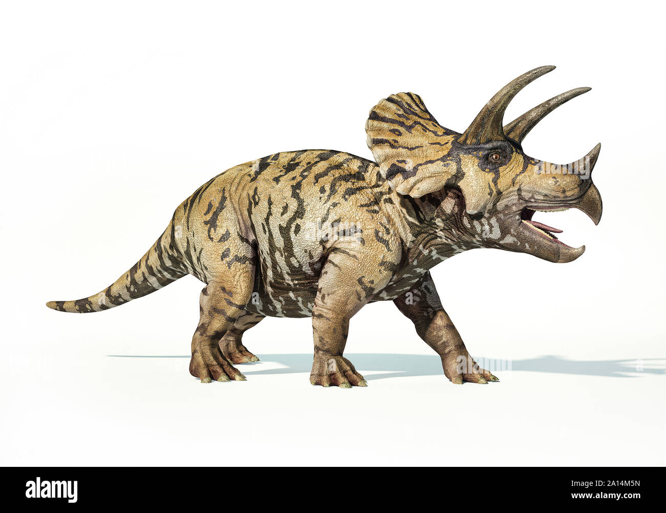 3d triceratops dinosaur side view -Fotos und -Bildmaterial in hoher ...