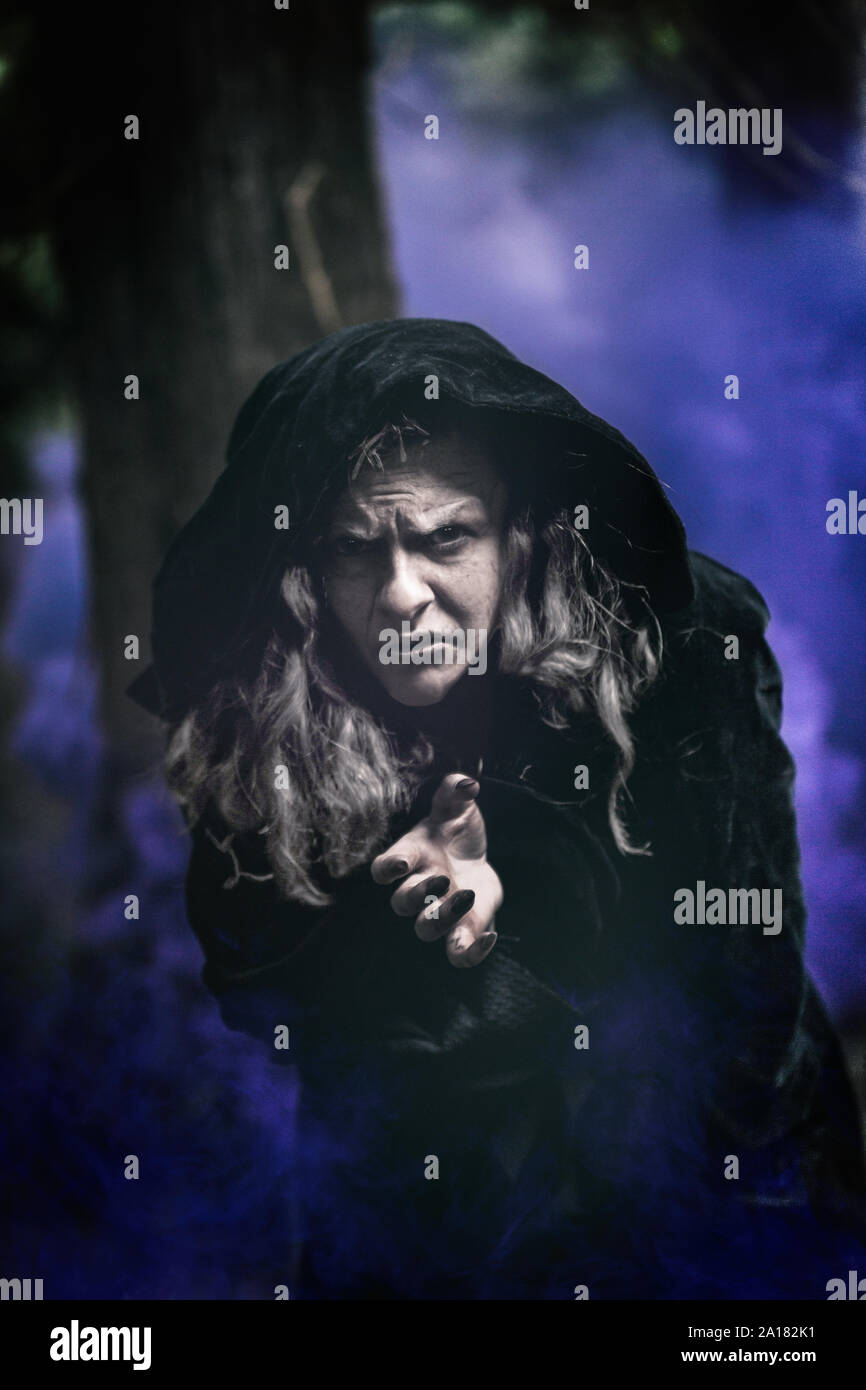 Die alte hexe -Fotos und -Bildmaterial in hoher Auflösung – Alamy