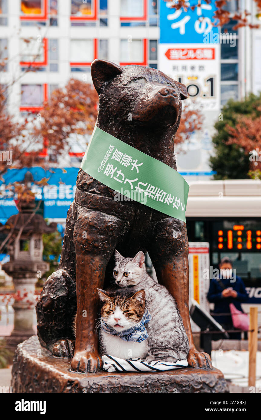 Shibuya hachiko dog tokyo -Fotos und -Bildmaterial in hoher Auflösung ...
