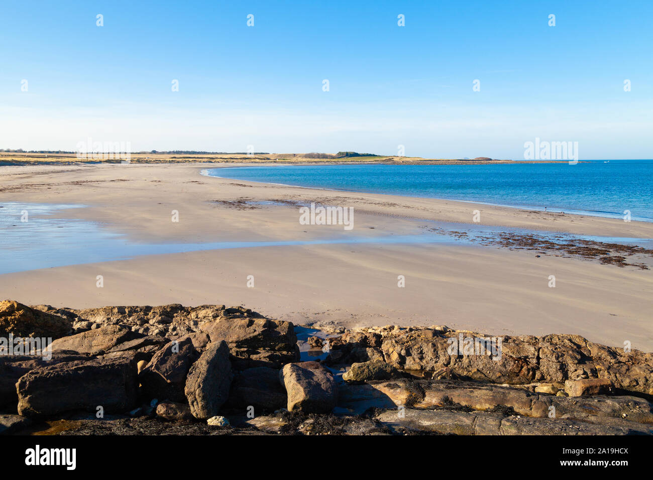 Dunbar beach -Fotos und -Bildmaterial in hoher Auflösung – Alamy
