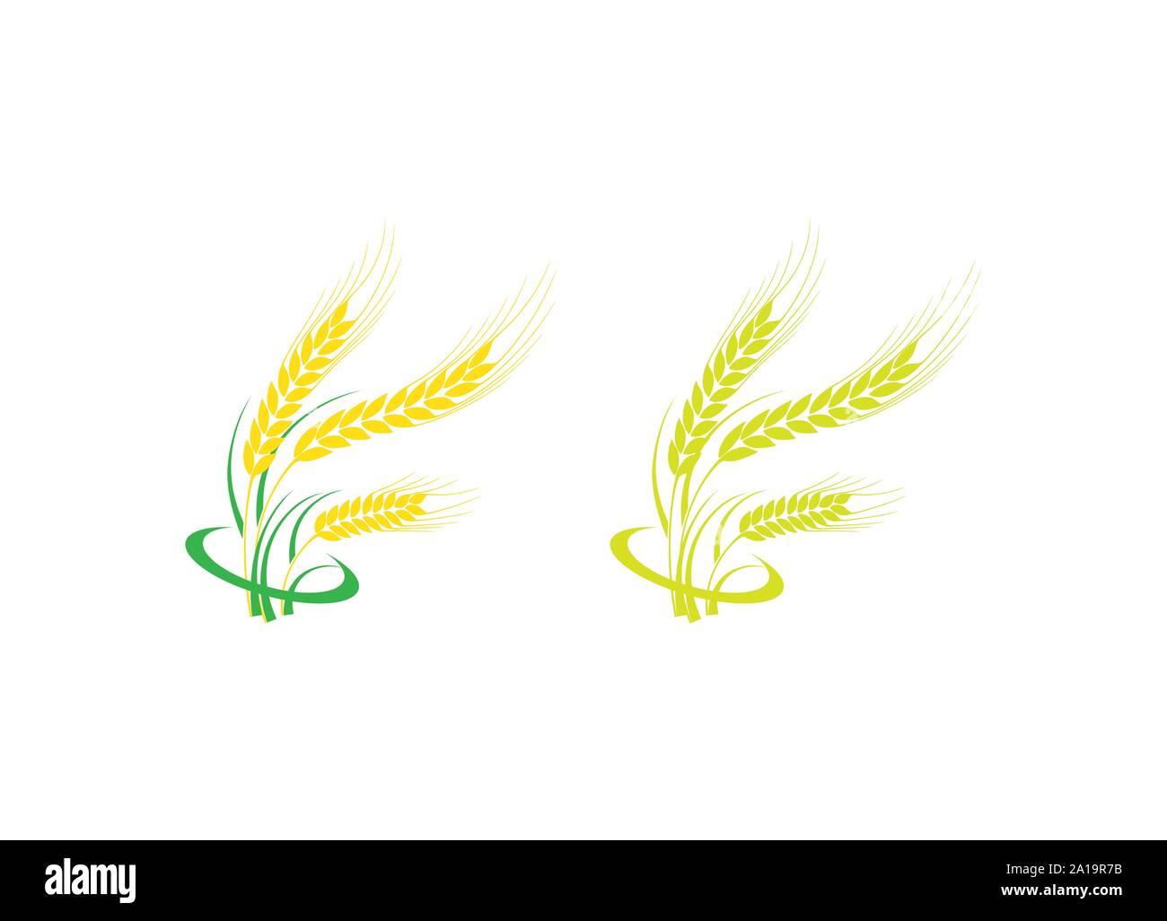 Landwirtschaft Weizen Logo Vorlage vektor Icon Design, Ohren von Weizen ...