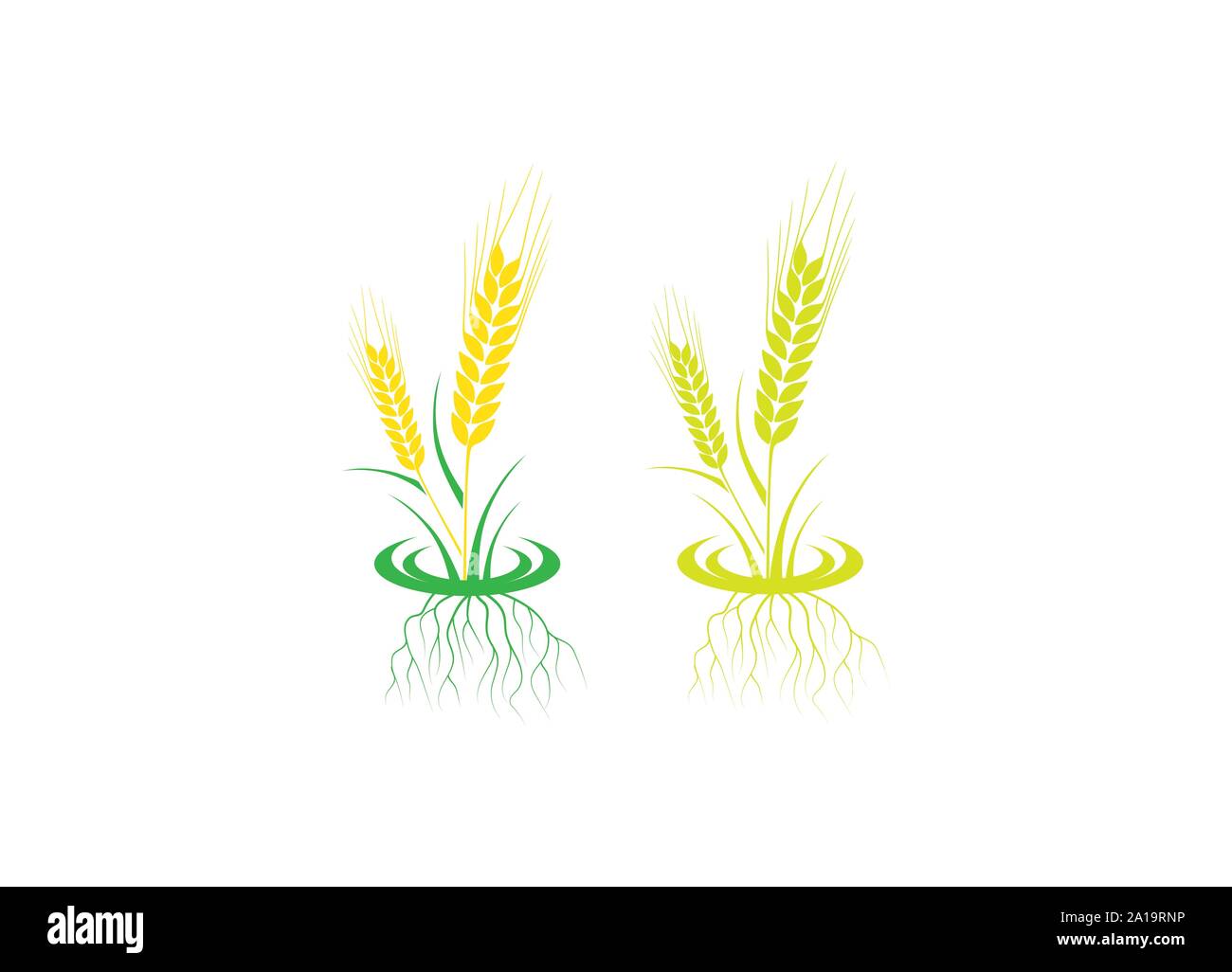 Landwirtschaft Weizen Logo Vorlage vektor Icon Design, Ohren von Weizen ...