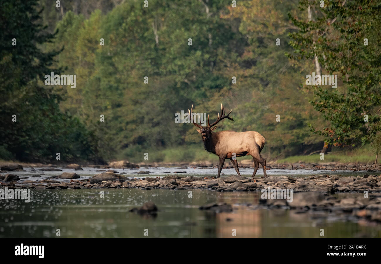 Bull run river -Fotos und -Bildmaterial in hoher Auflösung – Alamy