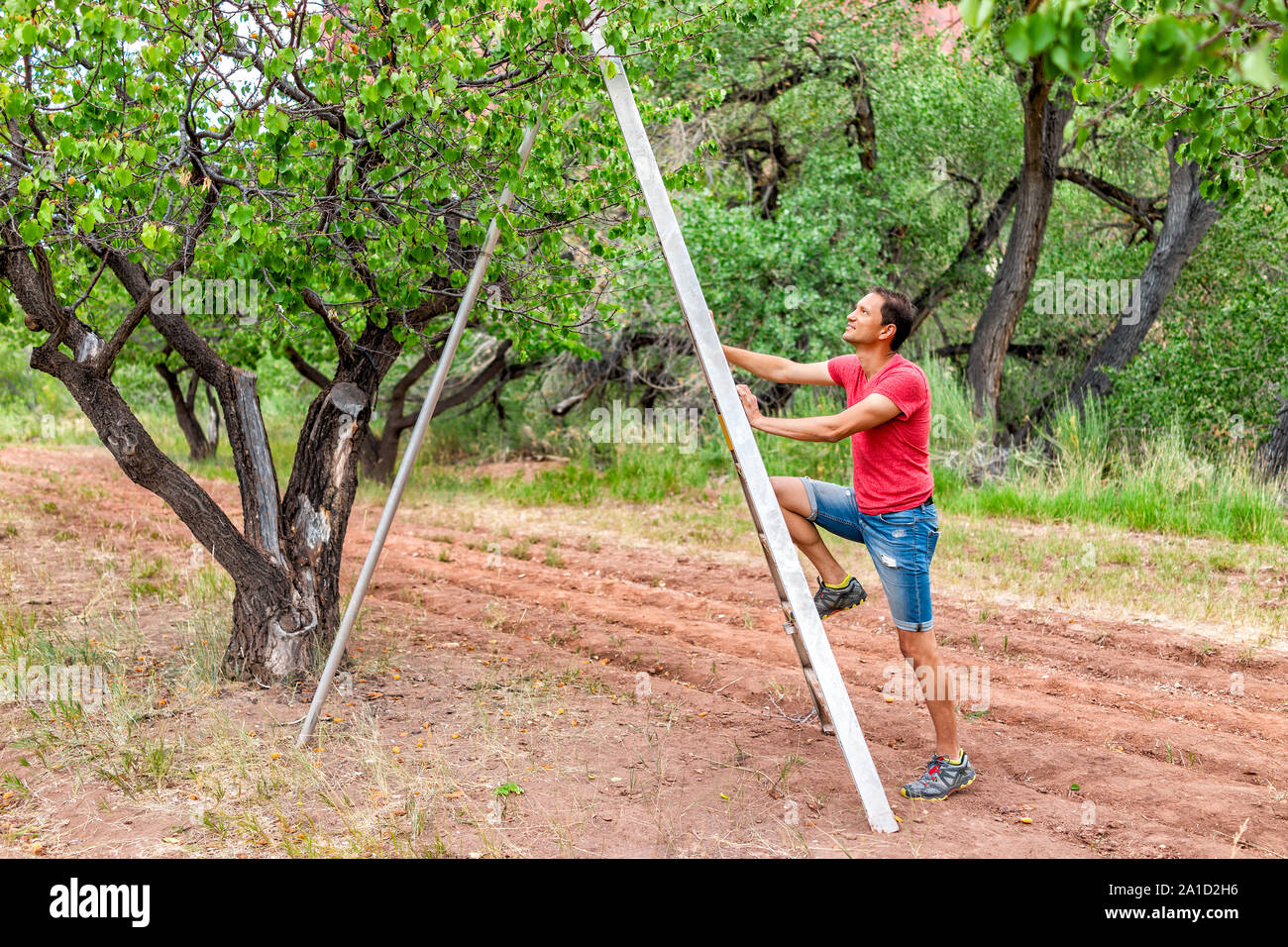 Man climbing ladder -Fotos und -Bildmaterial in hoher Auflösung – Alamy