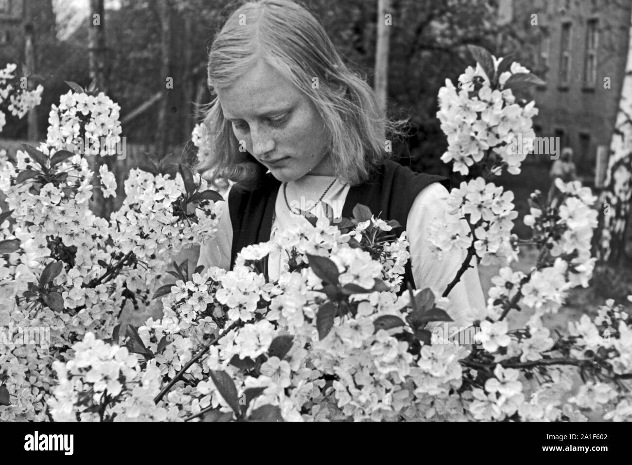 Sankt gertraud -Fotos und -Bildmaterial in hoher Auflösung – Alamy