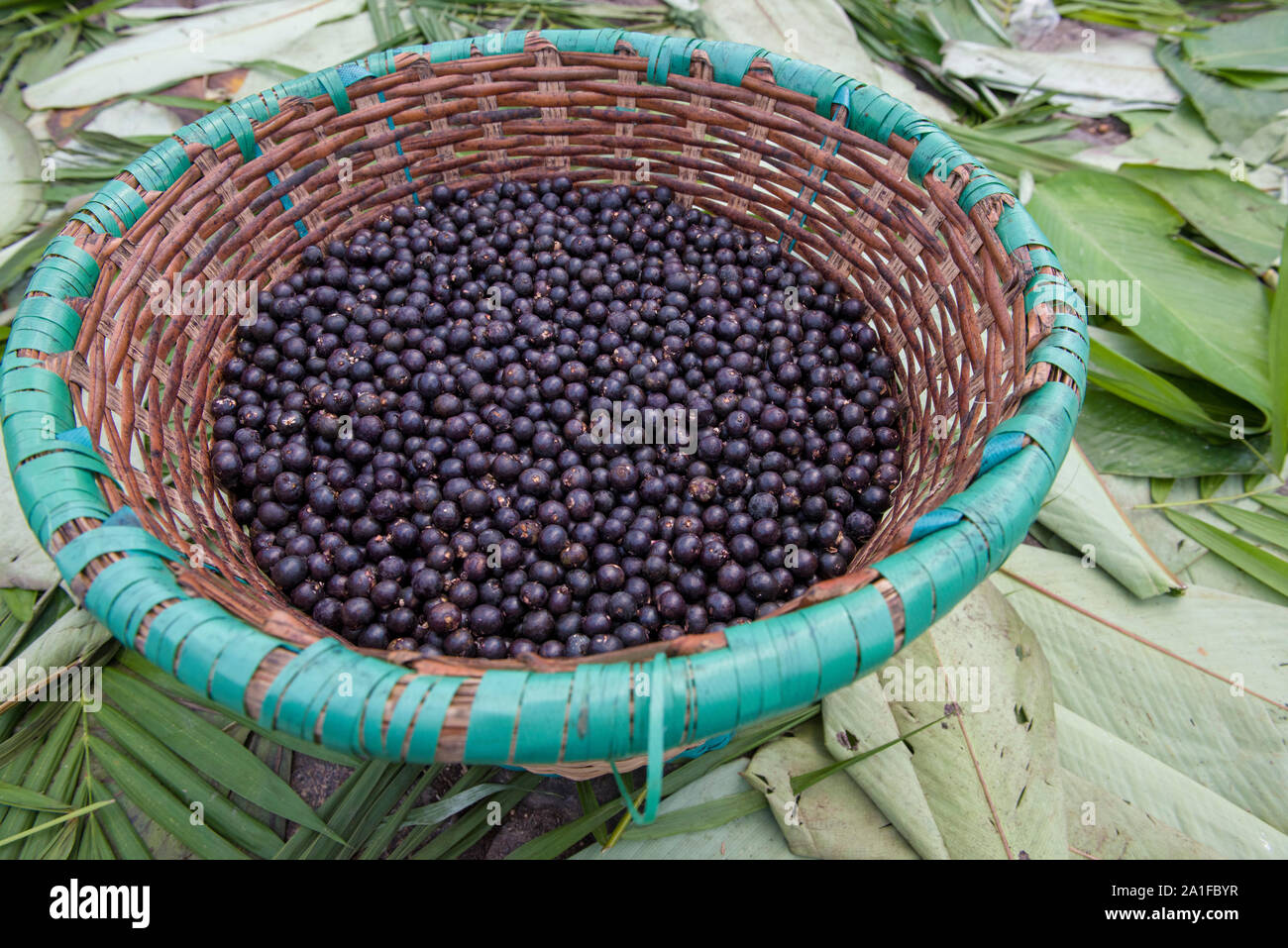 Acai Belem Stockfotos und -bilder Kaufen - Alamy