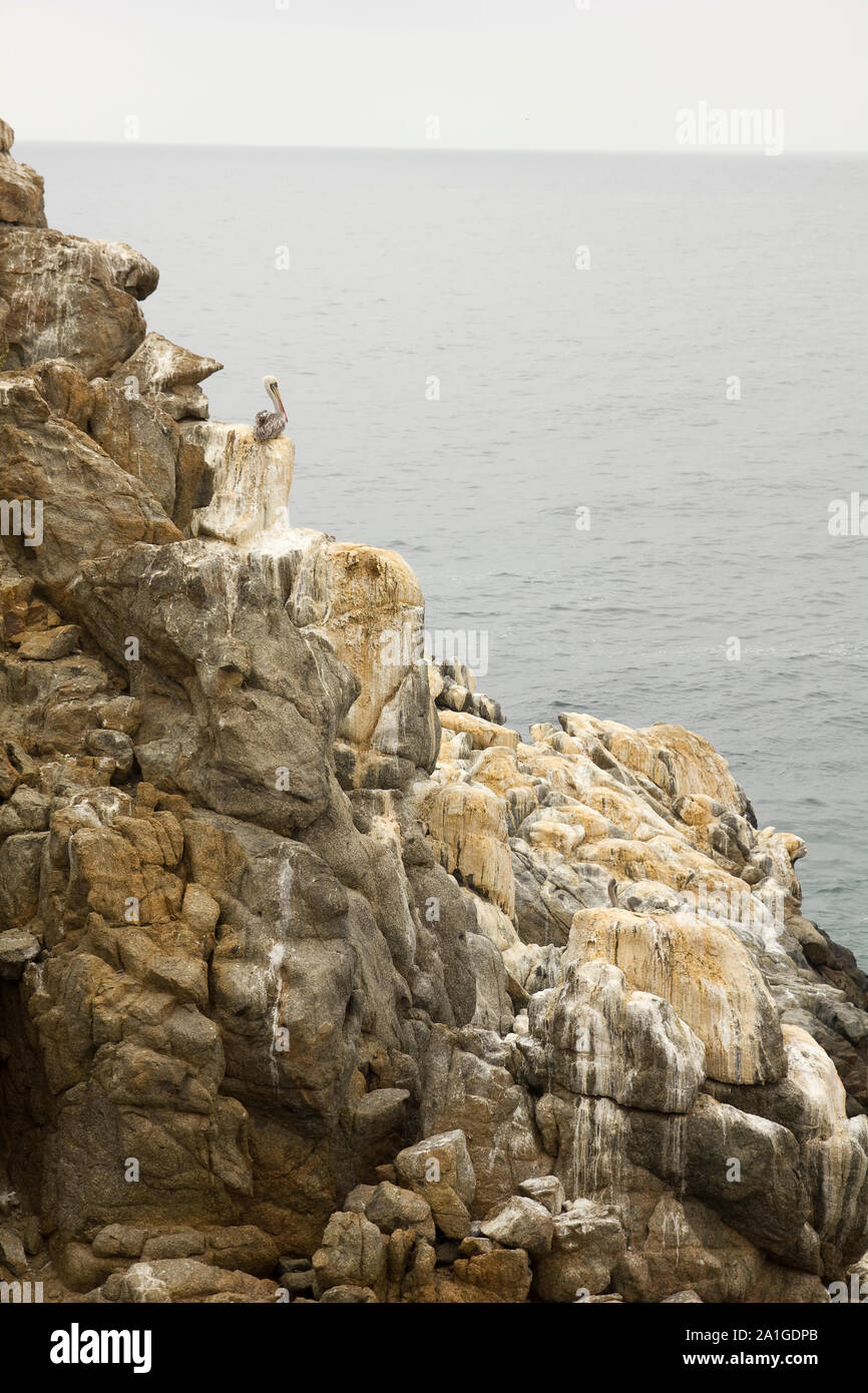 Guano bedeckt -Fotos und -Bildmaterial in hoher Auflösung – Alamy