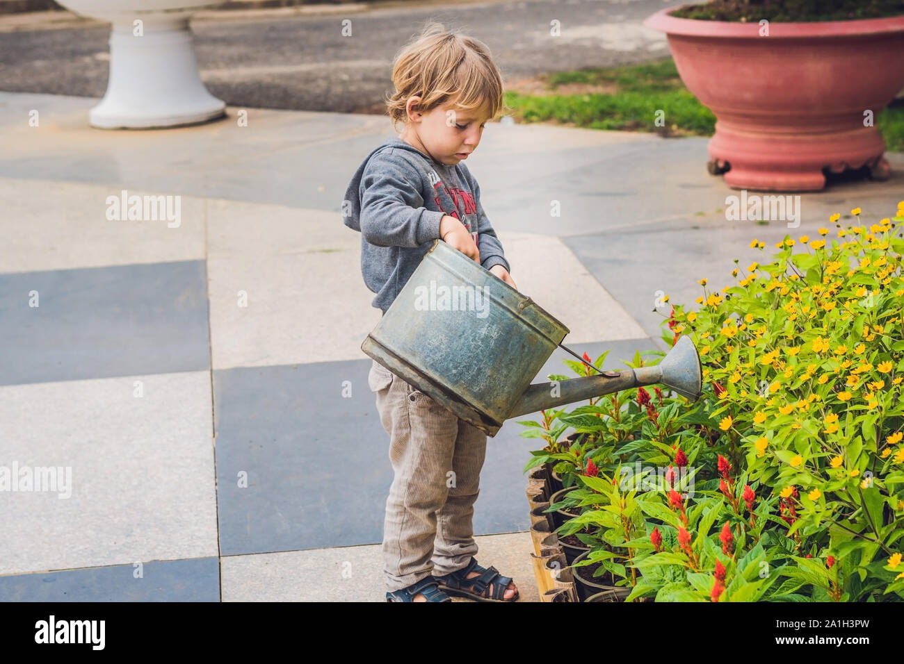 Eisenhut blumen -Fotos und -Bildmaterial in hoher Auflösung – Alamy