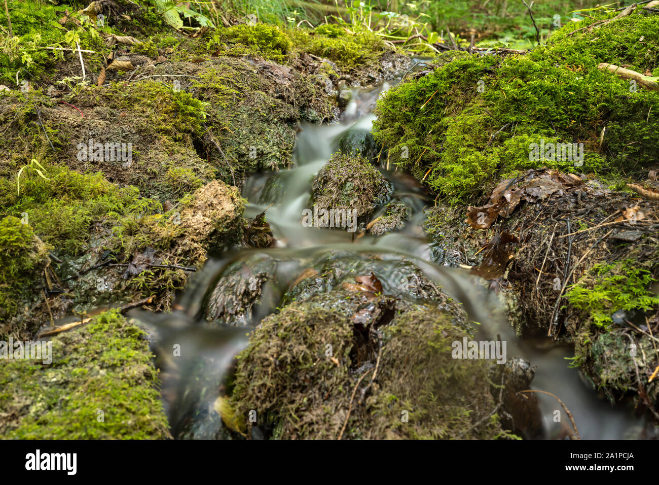 Blatt als wasserquelle -Fotos und -Bildmaterial in hoher Auflösung – Alamy