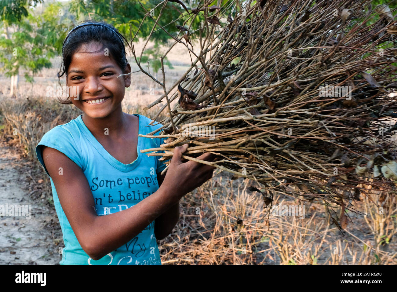Reisig sammeln Stockfotos und -bilder Kaufen - Alamy