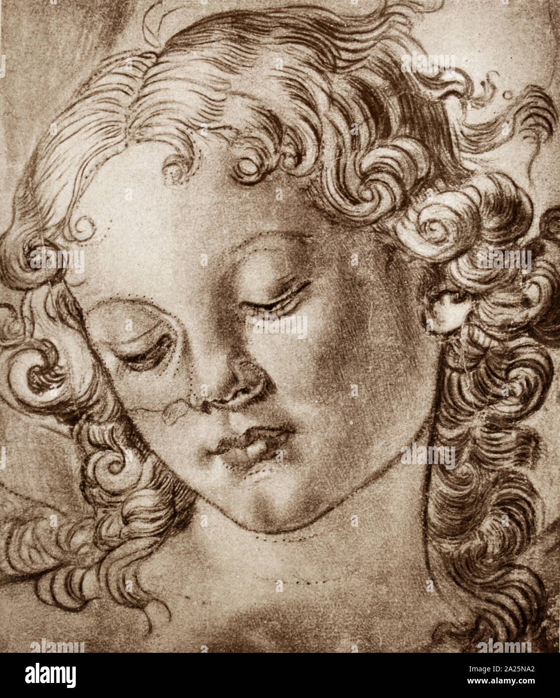 Zeichnung mit dem Titel "Kopf eines Engels" von Andrea Del Verrocchio ...
