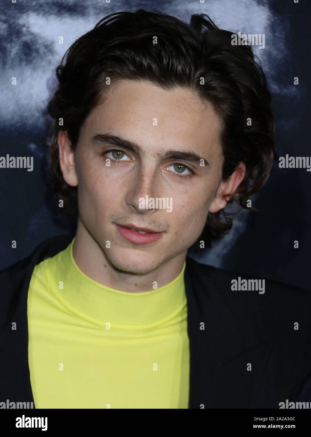 Oktober 1, 2019, New York City, New York, USA: Schauspieler Timothee ...